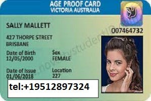 novelty social security card - Novelty Documents - Medium