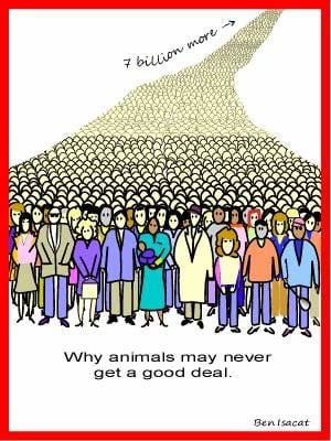 Why Human Population is an Animal Rights Concern | by Marcus Dredge ...