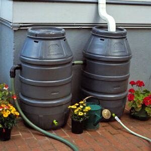 Why You Should Recycle Rain Water | by Joanne Watson | Medium