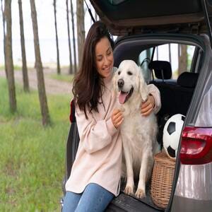 Seamless Pet Relocation Services in the UK | by Exec Pets | Jun, 2024 ...