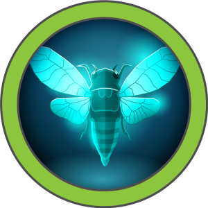 HackTheBox (Active Directory): Cicada (Windows) | by 3L173 H4CK3R 1337 ...