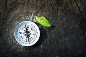 How MongoDB Compass Works In Python Programme? | by Sravan Cynixit | Medium