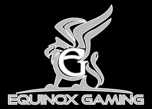Equinox Gaming : Who We Are. Built by players for players | by Bilal ...