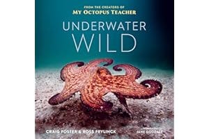 PDF Download Underwater Wild: My Octopus Teacher’s Extraordinary World ...
