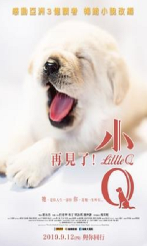 小Q〘Little Q 2019〙完整版本 ≪4K≫. 小Q（2019年電影）2019年電影的完整版,小Q一家-裸體在線… | by ...