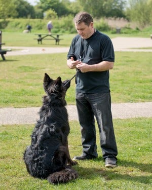 Our Dog Trainers and instructors train dogs to help people maintain ...