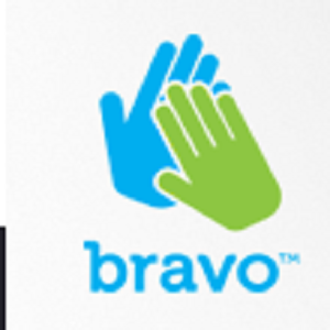 Bravo Consulting Group Pty Ltd. Bravo Consulting Group works with… | by ...