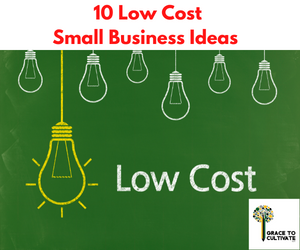 10 Low-Cost Small Business Ideas. Disclaimer — These are simply general ...