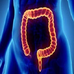 Colonoscopy and Endoscopy Center NYC | by EndoscopyCenter | Medium