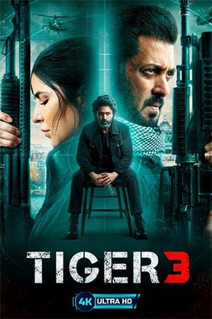Download Tiger 3 (2023) Movie Hindi AMZN WEB-DL 480p [500MB] | 720p [1 ...