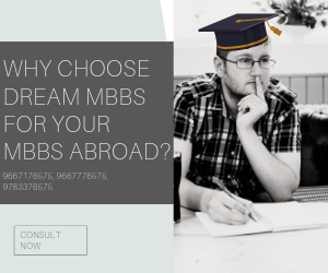 WHY choose Dream MBBS FOR YOUR MBBS ABROAD? | by Dream MBBS | Medium