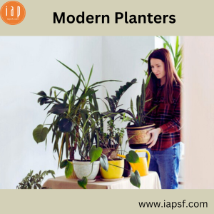 Create a Welcoming Atmosphere with Modern Planters | IAP - IAPSF - Medium