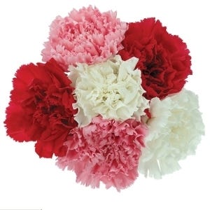 Why Fundraising With Flowers Is The Most Profitable Option | by ...