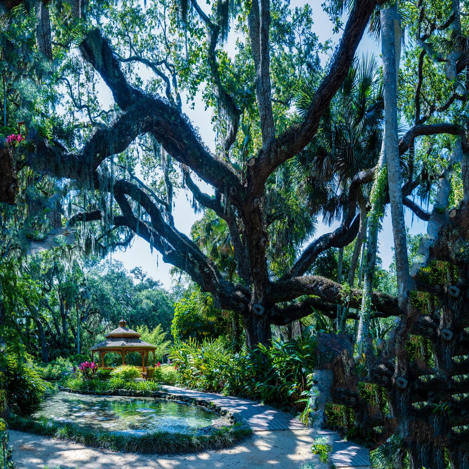 Washington Oaks Gardens Florida39s Most Beautiful State Park