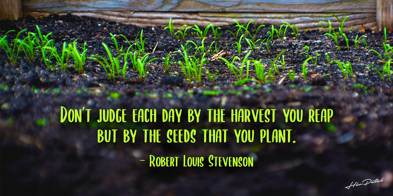 Sowing Seeds Quotes