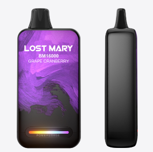 Why Should You Choose Lost Mary Disposable Vapes? | by vtv vape | Mar ...