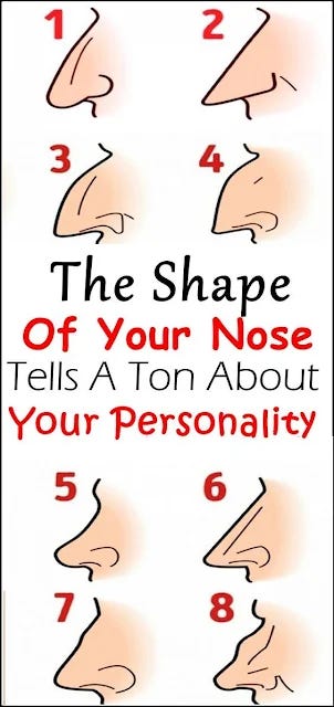 The Shape Of Your Nose Tells A Ton About Your Personality ...