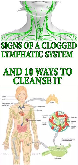 Signs Of A Clogged Lymphatic System And 10 Ways To Cleanse It - Mary ...
