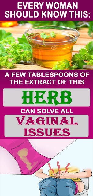 This Herb Is The Perfect Cure For All Female Diseases - wellnessmgz4 ...