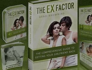 The Ex Component Guide Survey: Is That Truly Work? | by ...