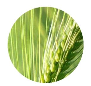 nrgene-blog