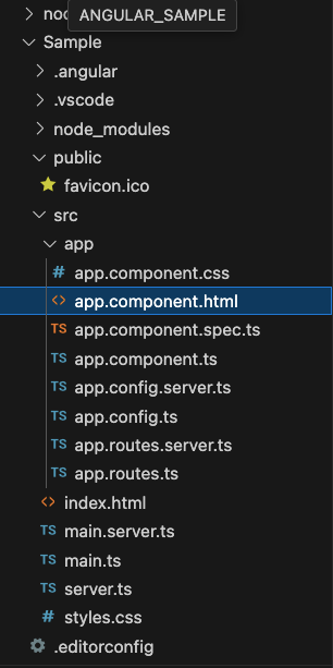 ANGULAR INSTALLATION & PROJECT STRUCTURE | by Vaishnav krishna p | Apr, 2025 | Medium