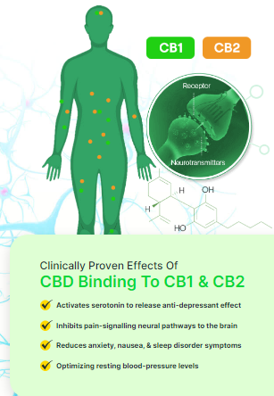 Unabis CBD Gummies — Are Genuine? 100% Natural Ingredients!! | by ...