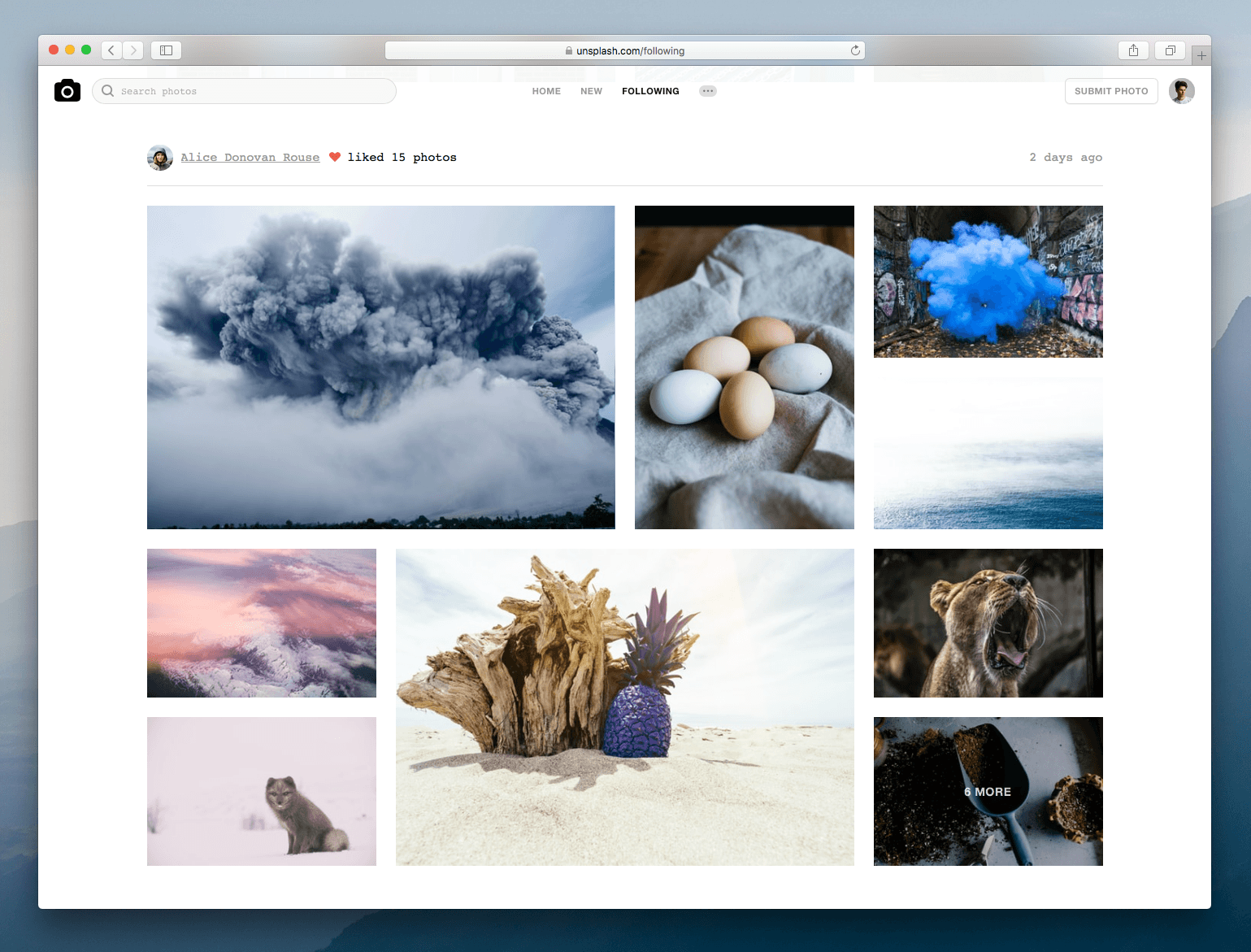Awesome Tumblr Photography
