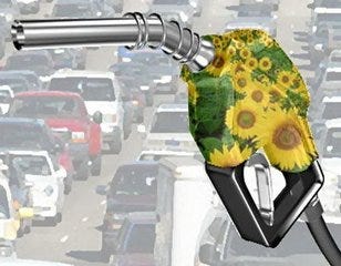 New EU fuel pump labeling reflects biofuel content | by Mei Maggie | Medium