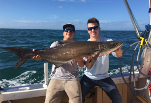 Set Sail on an Exciting Fishing Expedition in Madeira Beach, Florida ...