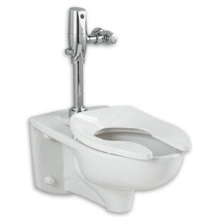 Afwall Millennium Flowise Dual Flush Elongated One Piece Toilet By ...