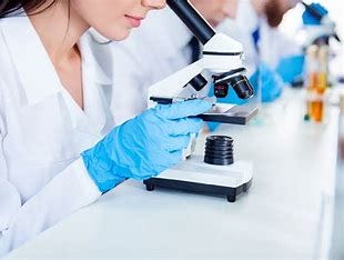 Most Popular CRO Research at Clinfinite Solutions | by ...