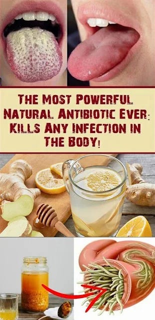 10 Most Powerful Natural Antibiotics That Don’t Require a Prescription ...