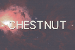 Chestnut Font | by Lilyluminate | May, 2024 | Medium