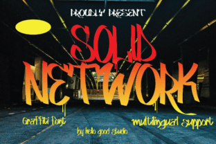 Solid Network Font | by Miamirabilis | May, 2024 | Medium