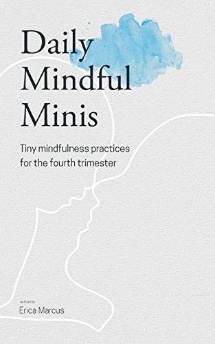 READ PDF Daily Mindful Minis: Tiny Mindfulness Practices for the Fourth ...