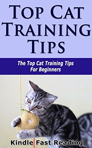 7 Essential Cat Training Tricks Your Kitty Can Really Learn | by ...