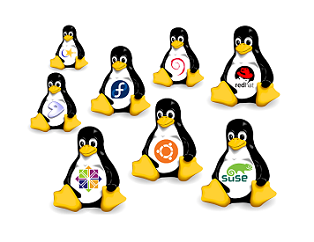 الفرق بين نظام التشغيل Linux و AIX و Ubuntu | by Fady | Medium