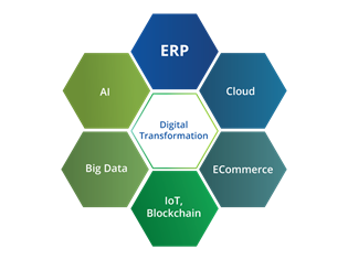The Best Assistance for SAP Digital Transformation | by Charulatha J ...