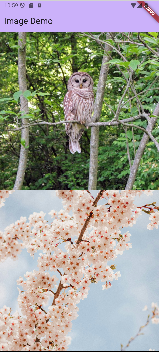 Images in Flutter - Complete Flutter Guide - Medium