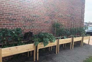 Grants Fund Local Projects in Flushing | by Community Foundation of ...
