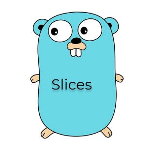 Working with Slices in Go(golang) | by Sean Dever | Medium