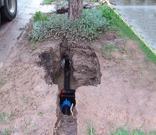 Maximizing Safety and Efficiency: Root Pruning Mature Trees with Hydro ...