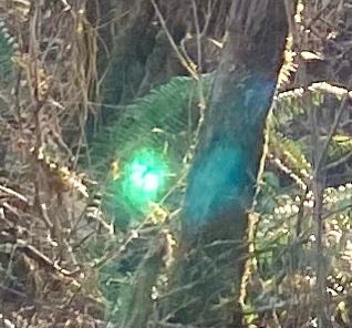 The Green Orb mystery. I see trippy green orbs in my photos. | by ...