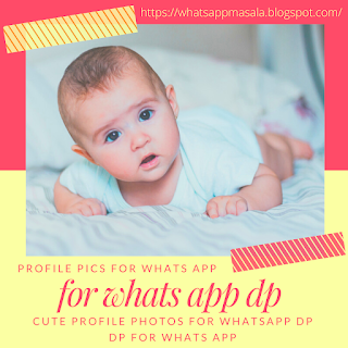 The Best Whats app DP Ever - Bloggermaster - Medium