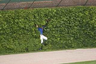 1000 Words: Another Reed special | by MLB.com/blogs | Cubs Vine Line Blog