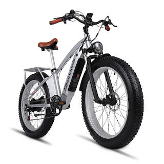 Shengmilo MX04 Retro Electric Bike for Adult 1000 W Motor 48V - Foshan ...