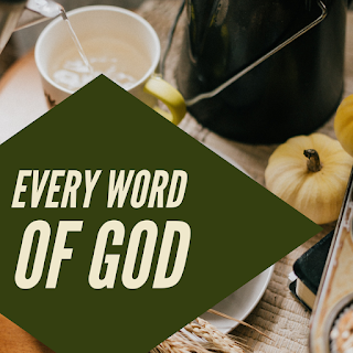 What These Wholesome Words Teach Us | by Marvin McKenzie | Medium