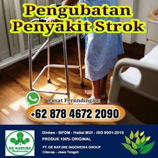 Bahan perubatan herba semula jadi untuk merawat strok adalah diapotik ...