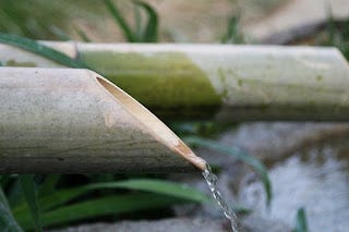 The Many Benefits of Bamboo. Bamboo is a versatile and sustainable ...